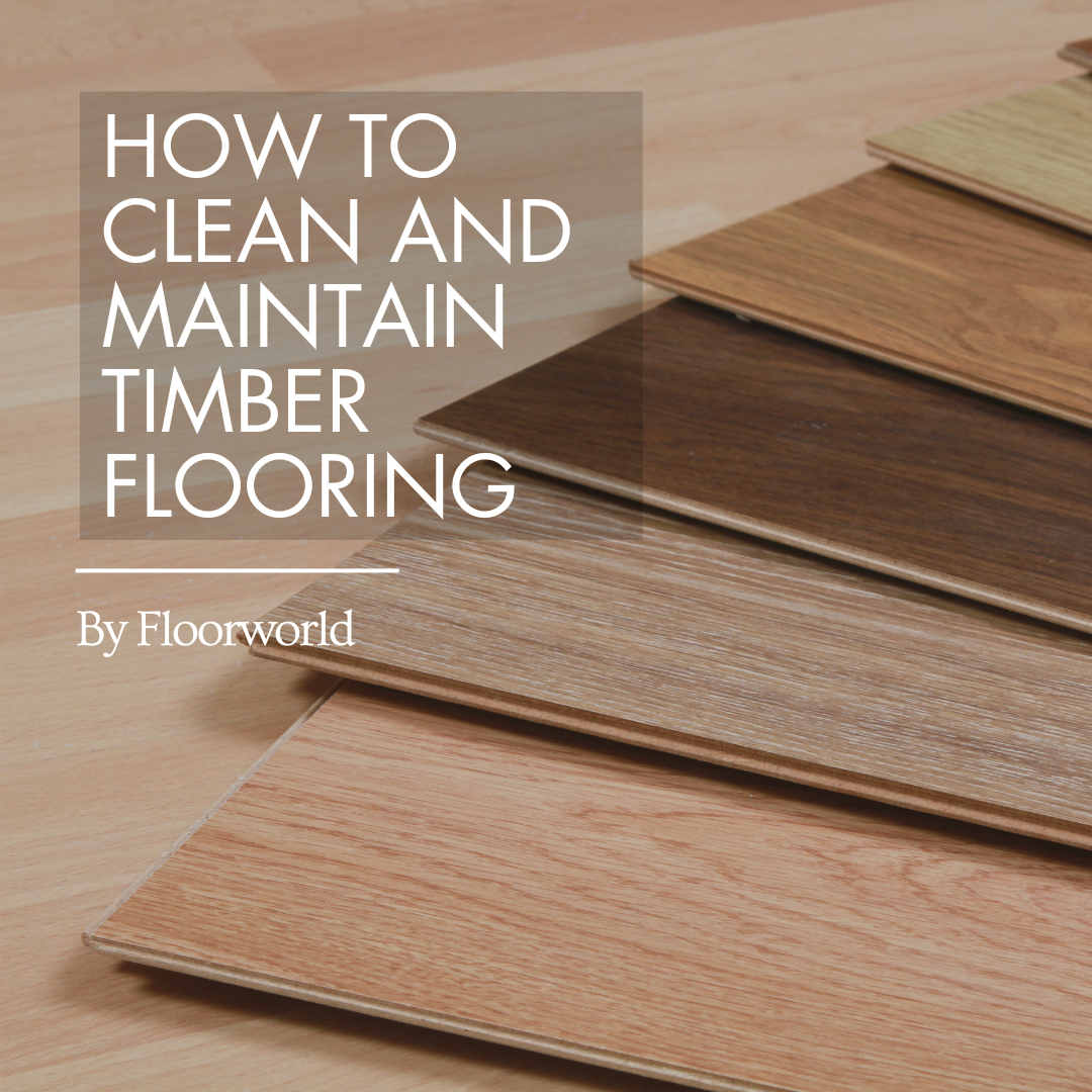 How to Clean and Maintain Timber Flooring: 6 Step Guide (2024 Updated)